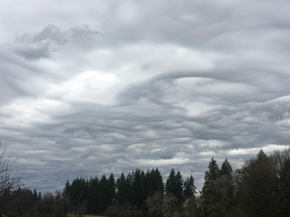 crazy_clouds - Sun Love Farm